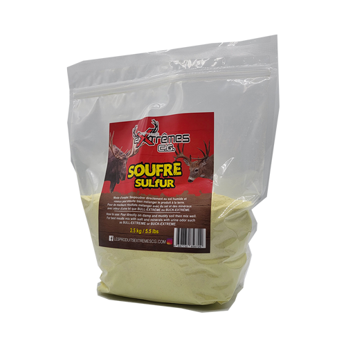 Souffre pour orignal – ExtremeCG